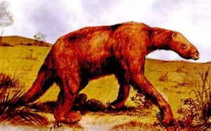 Preguiças gigantescas | CHC