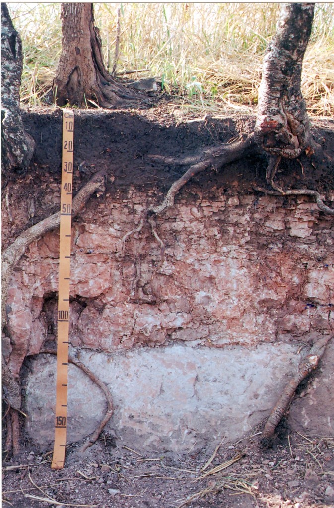 Solos brasileiros | CHC