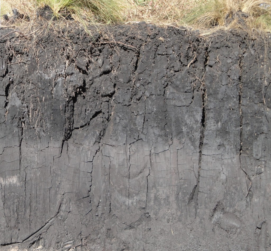 Solos brasileiros | CHC