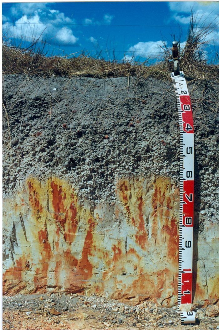 Solos brasileiros | CHC