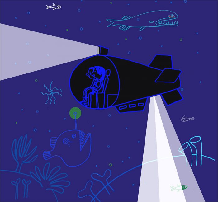 Peixes luminosos | CHC