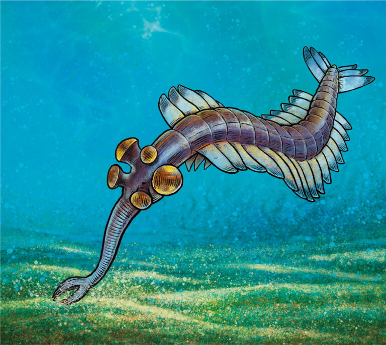 Cinco olhos e uma tromba! | CHC